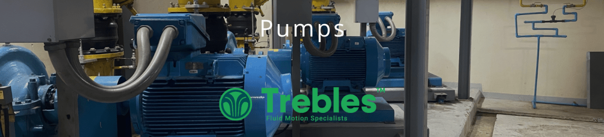 Pumps – T E C H N I C A L